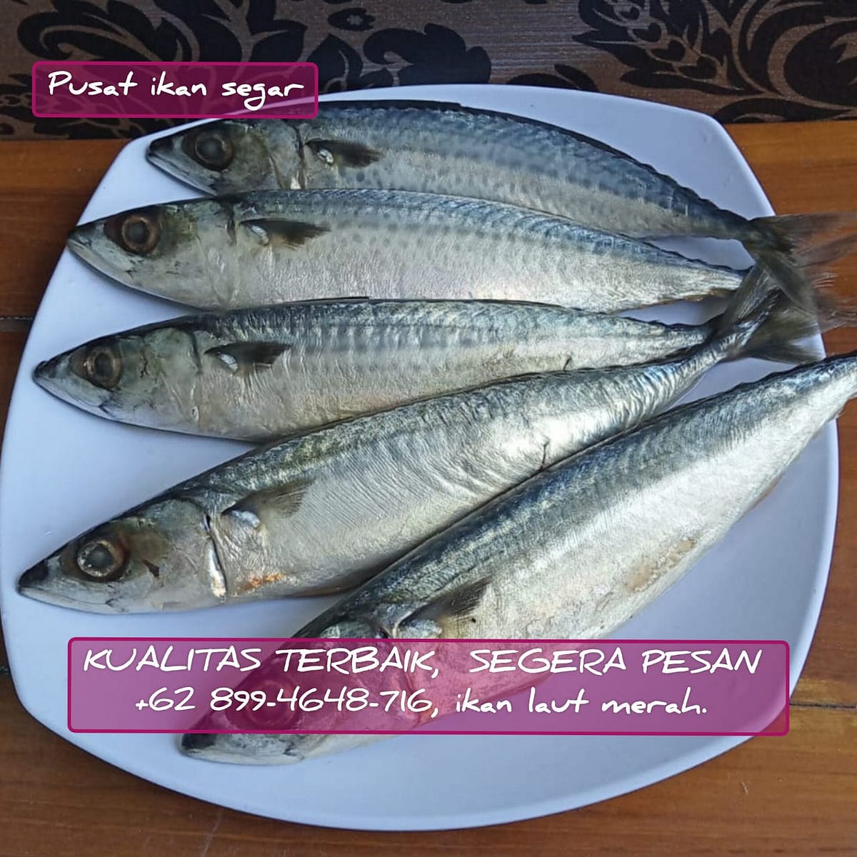 TERBAIK, SEGERA PESAN +62 899-4648-716, ikan laut fresh. | by ...