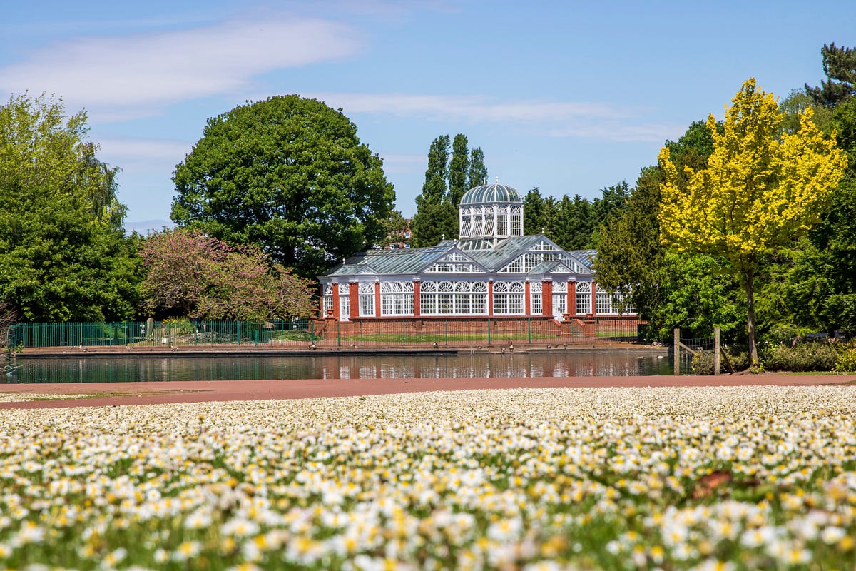 How to Buy a House in Wolverhampton, easy and affordable | by ...