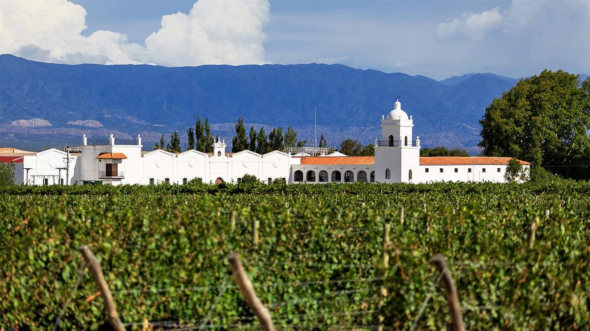 Lanzamiento: Fincas Notables Cabernet Franc | by Diego Migliaro | Mi Lado V