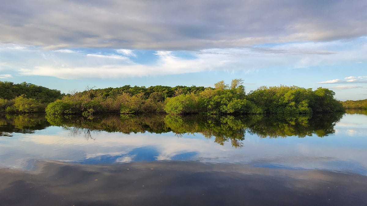 This is how the Mayan Lagooners emerged | by Adrian de Maya | Medium