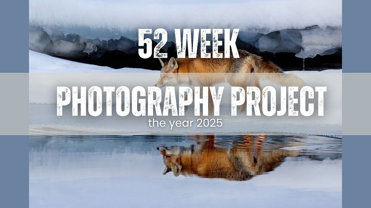 52 Week Photography Project (2025) | by Terrill Bodner | Full Frame ...