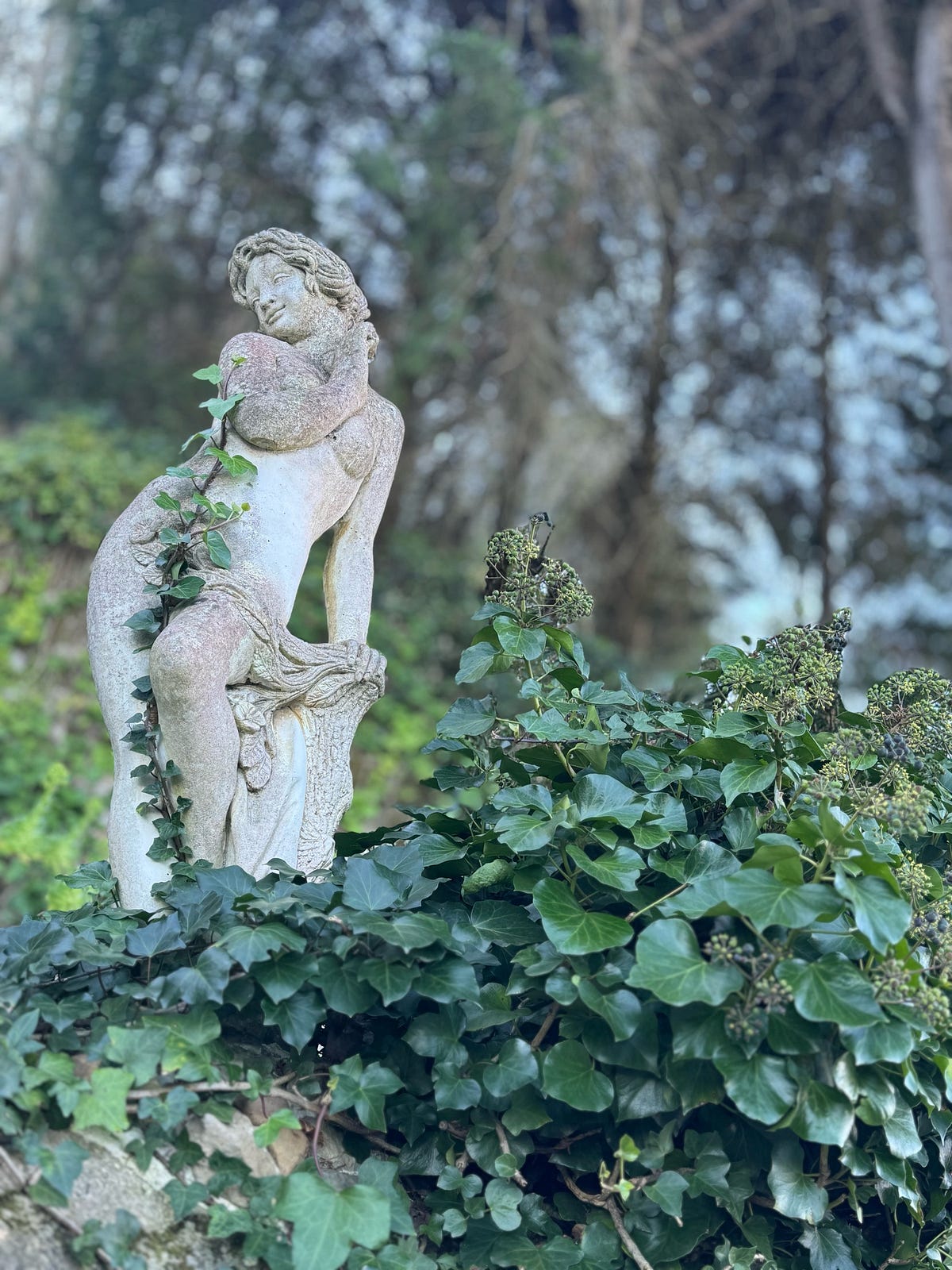 Paths Unseen. Travel hiccups | by Tania Sen | Jan, 2025 | Medium