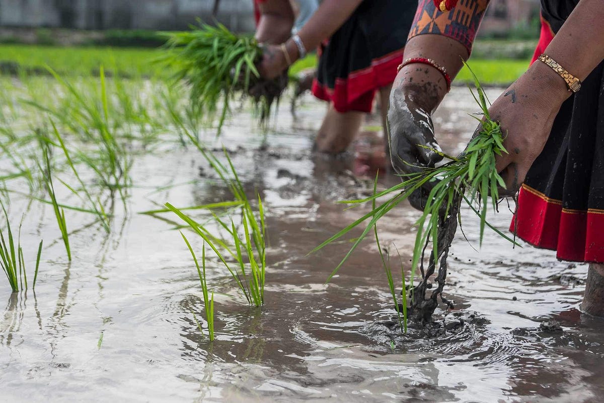 A traditional festival of Nepal that falls on the 15th day of the ...