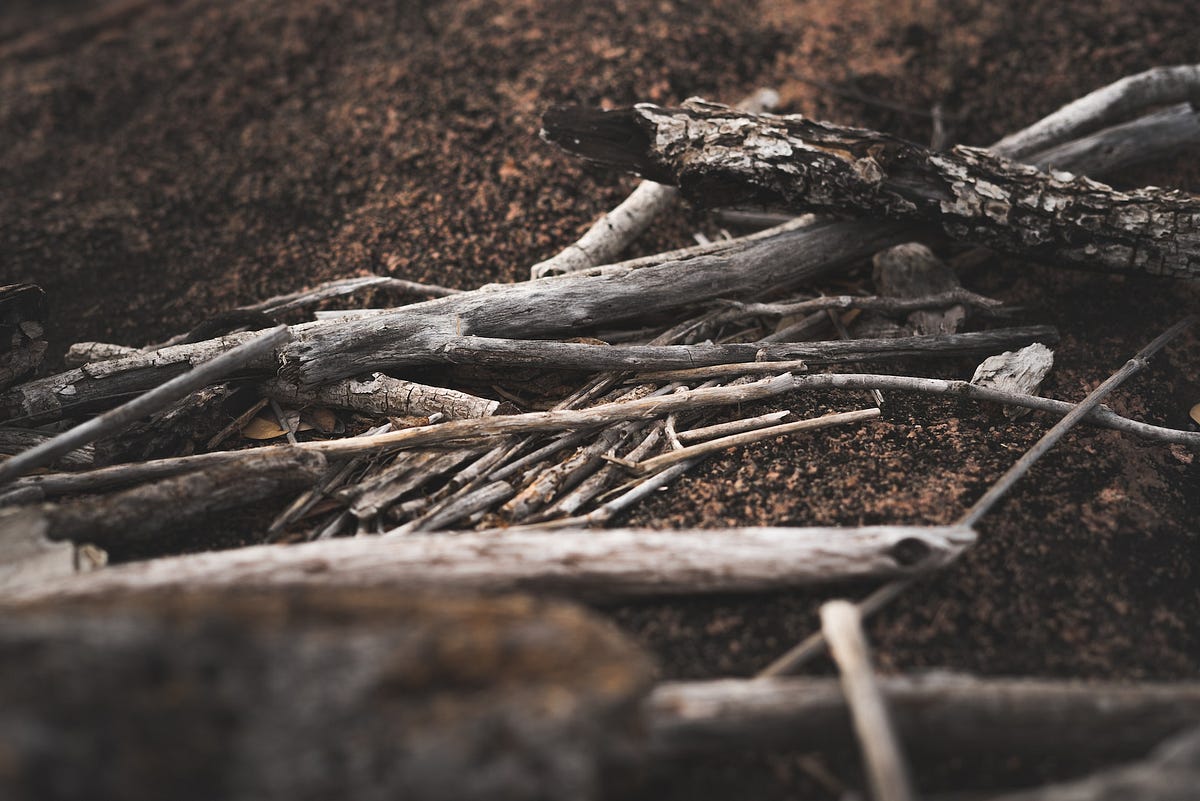 Sticks, Stones, Civilisation. Wrapping up my formal academic studies… | by Tariq Khan | Nov ...