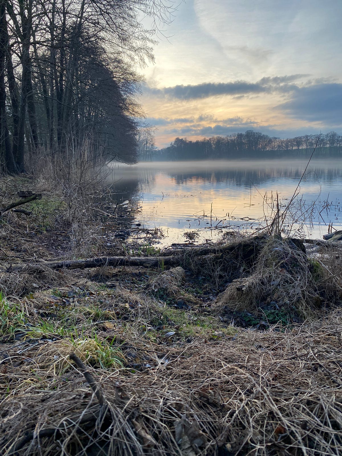 Uralte Morla. - Ressyllenz - Medium