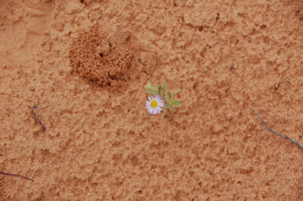 Being Fully Present in the Time You Have, the Antidote for Parental ...