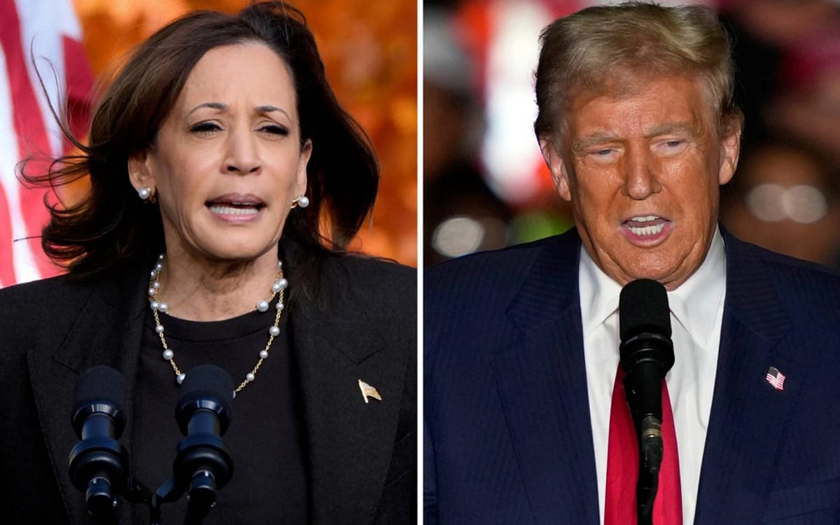 How Name Calling Helped Propel Donald Trump to Victory in the 2024 ...