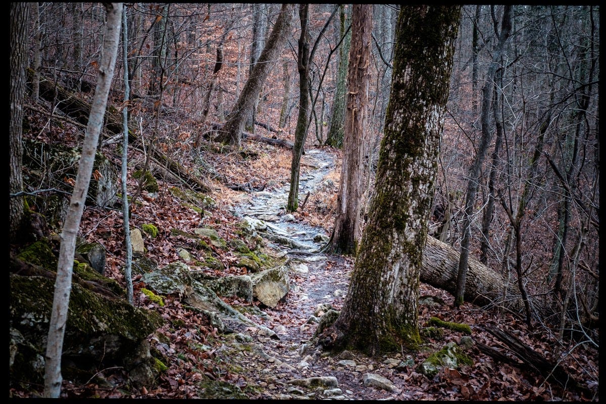 Fire Tower Trail. Sunday January 3rd, 2021. 7:38am ET and… | by Tim Bindner | Medium