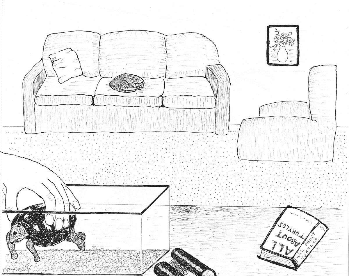 Exotic - 2-Bite Stories - Medium