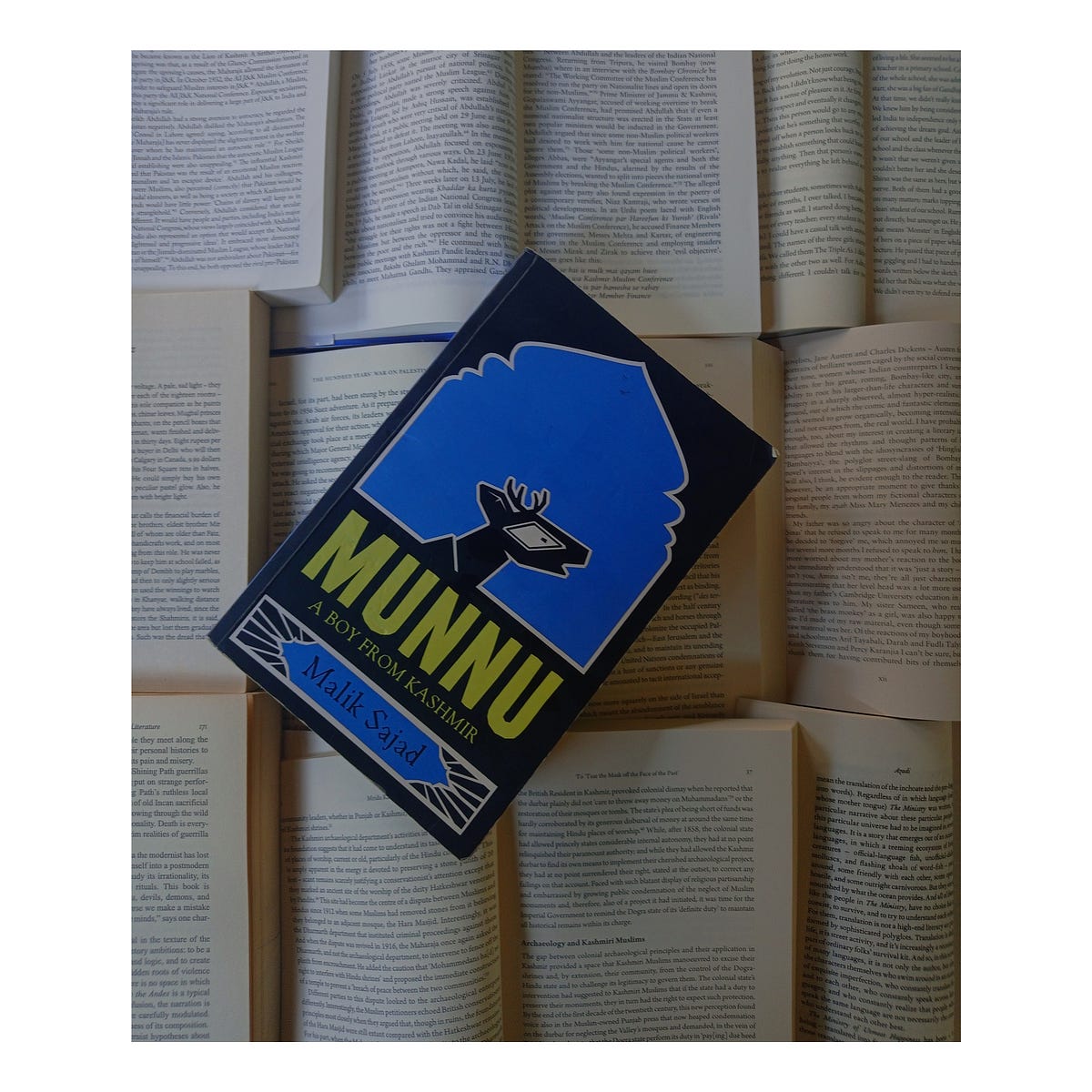 Munnu A Boy From Kashmir — Book Review | by Khan Muzamil | Medium