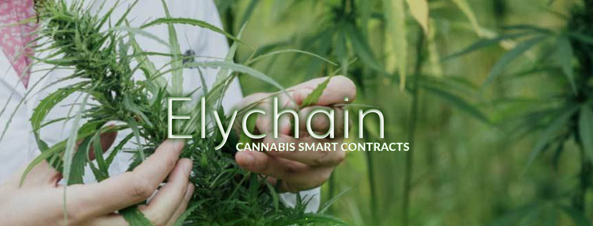 ELYCHAIN - Vorstellung. Elychain — Smart Contracts for the… | by Mirko Mohr | Medium