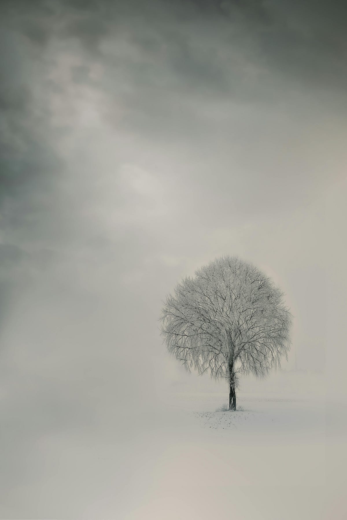 First Snow Before Thanksgiving: A Midwest Winter Snapshot | The Daily Cuppa