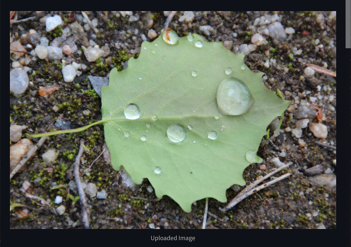 Crafting Interactive Image Processing Apps for JPG/JPEG Enhancement ...