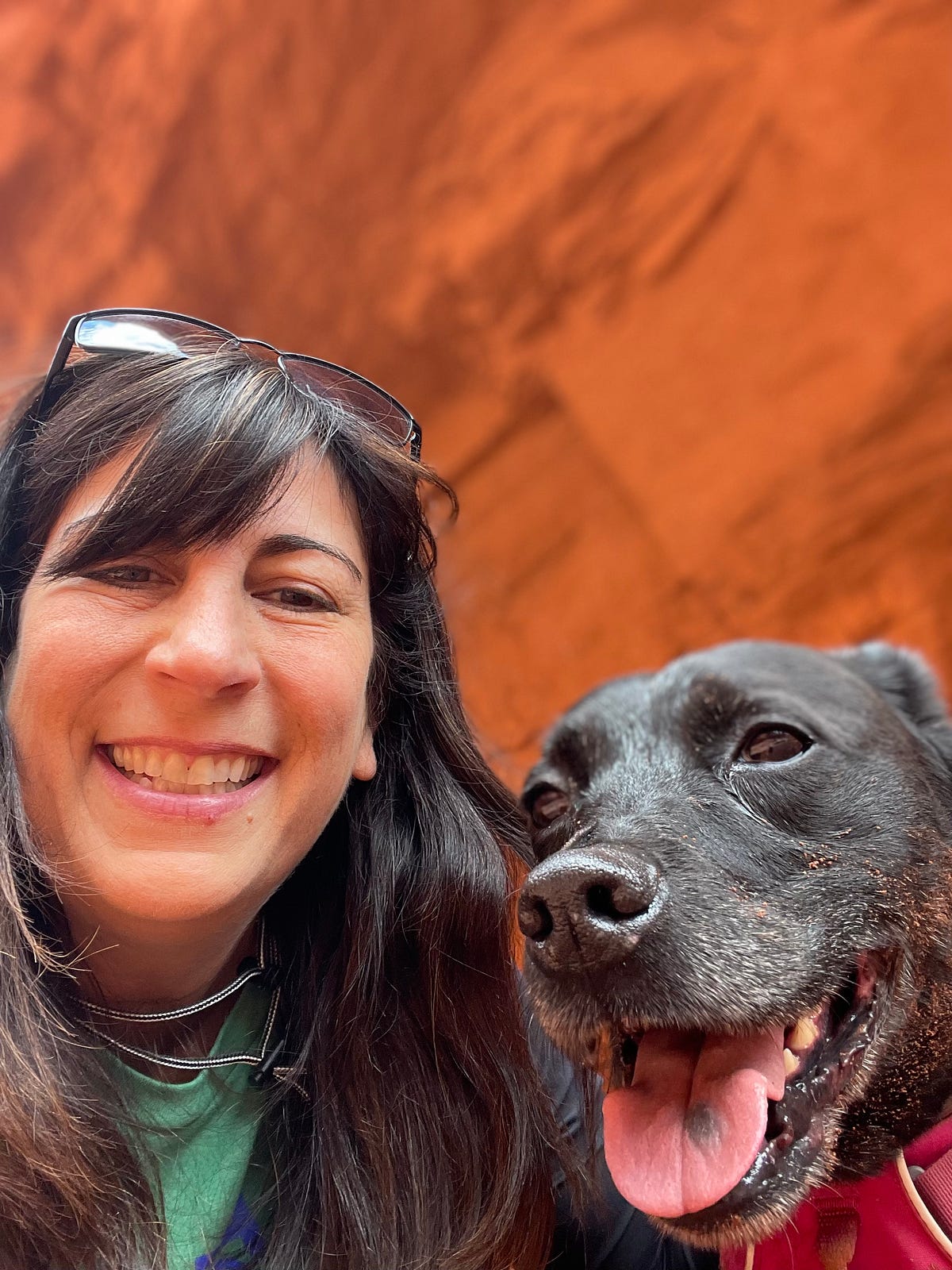 LEAVE ONLY FOOTPRINTS, TAKE ONLY MEMORIES. | by Jill Aronoff | Medium