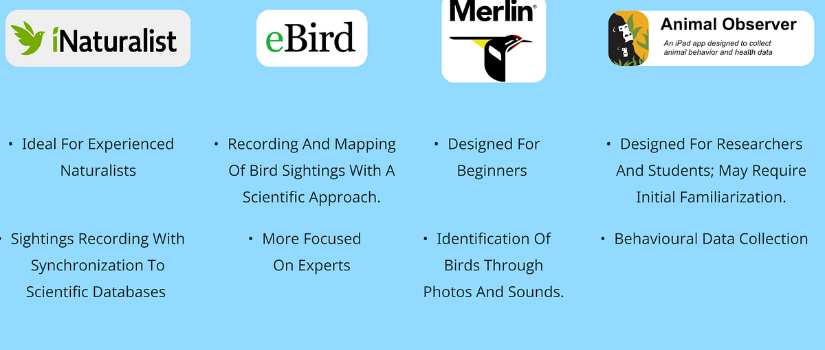 Animal Track: A UX Approach to Improving an Application Without Prior ...