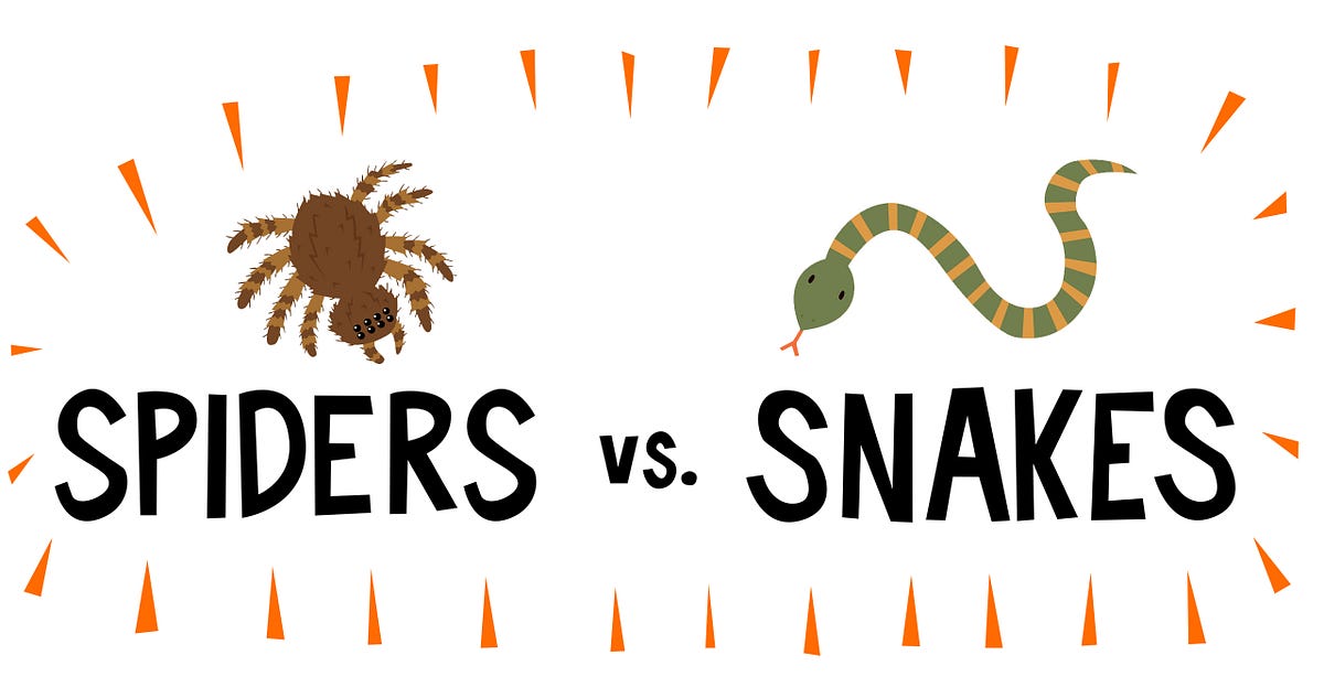 Spiders Versus Snakes. Scuttle or slither on over here. | by Ysabel ...