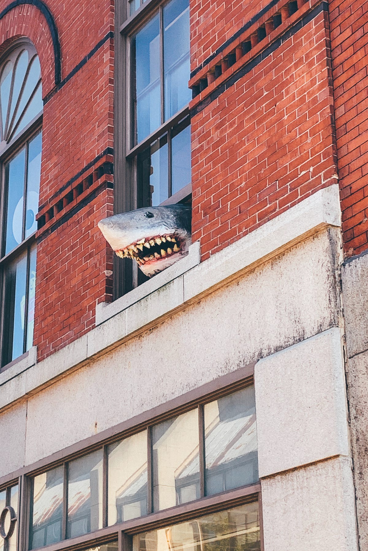 Man-Eating: Toward a sustainable misandry | by Michael Brandow | Medium