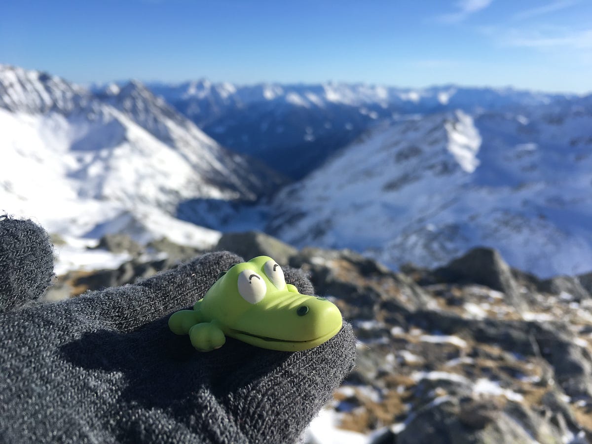 Our crocodile Dandy traveling the world… | by Touch4IT Team | Medium
