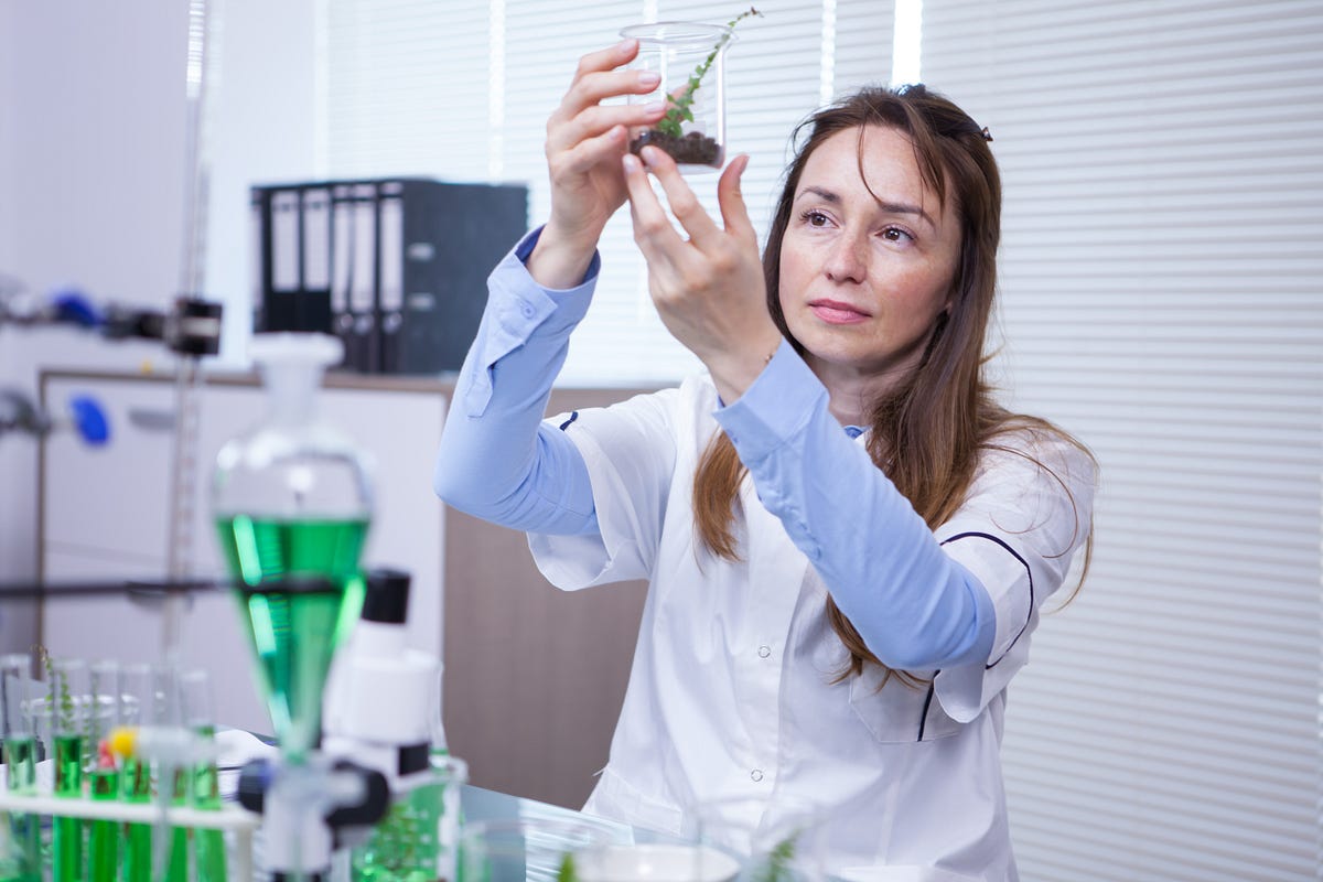 Looking For Best Natural Medicine Doctor | by hashimotos | Medium