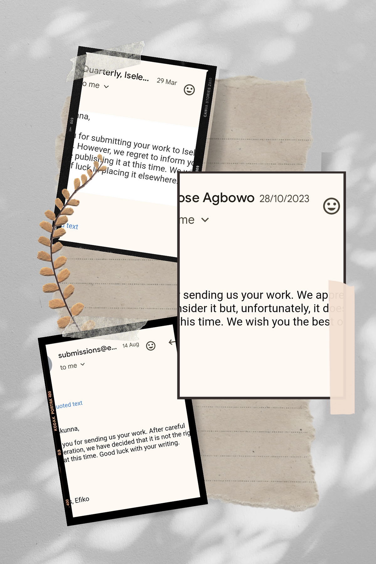 Nobody Likes My Writing. Down the cricket hole of rejection | by Akunna James-Ibe | Passages ...