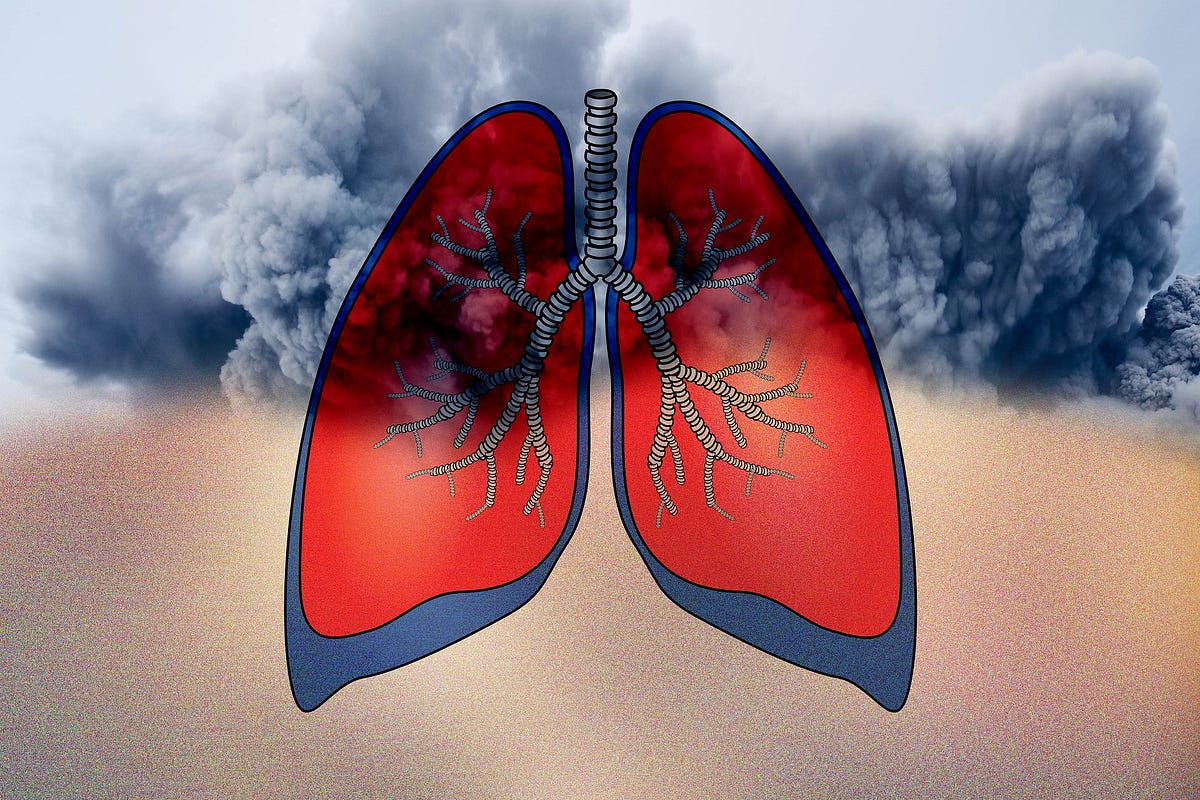 Wood Smoke Allergies: Impact on Breathing - Lawnsroot.com - Medium