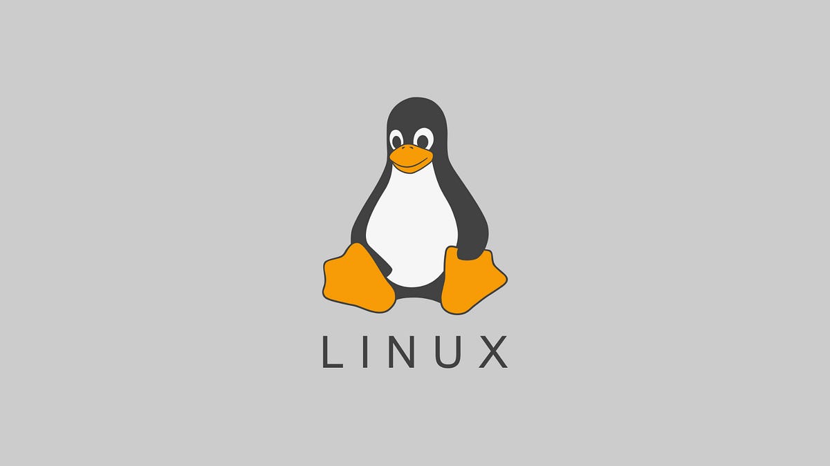 Linux Command line Basics For Beginners: Pt.1 | by Mahmoud Selim | Medium