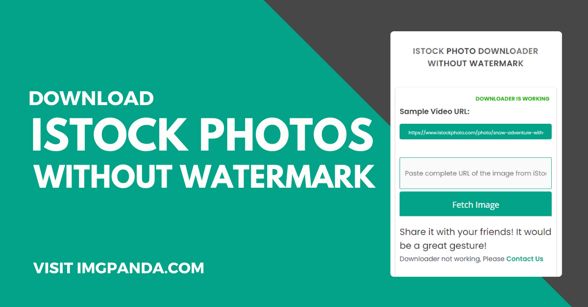 Empowering Creativity: A Comprehensive Guide to IStock Photo Download Without Watermark | by ...