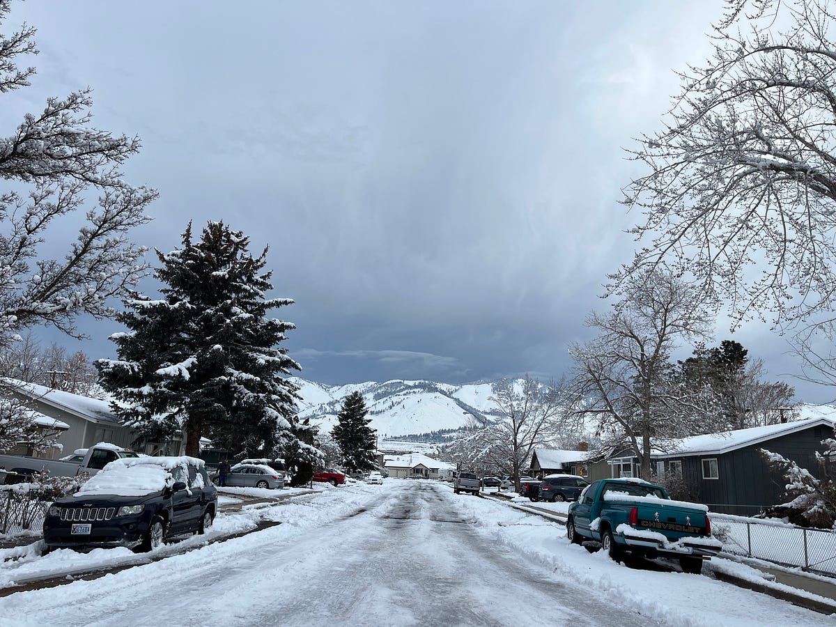 A Week of Winter Walks. First week of January 2023 | by Kim Zuch ...