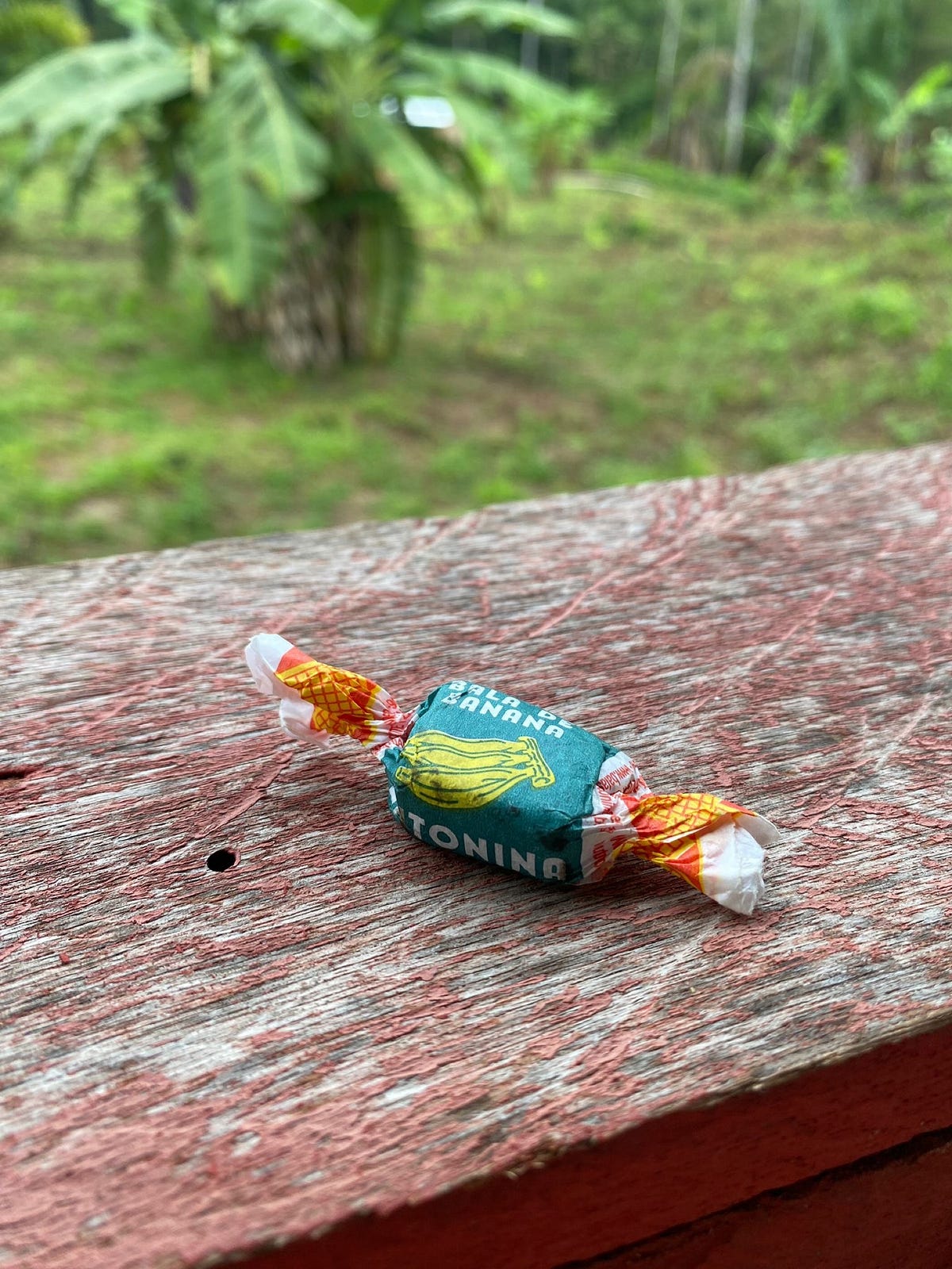 O tempo que voa e os pequenos milagres que passam despercebidos | by patrick belem | Medium