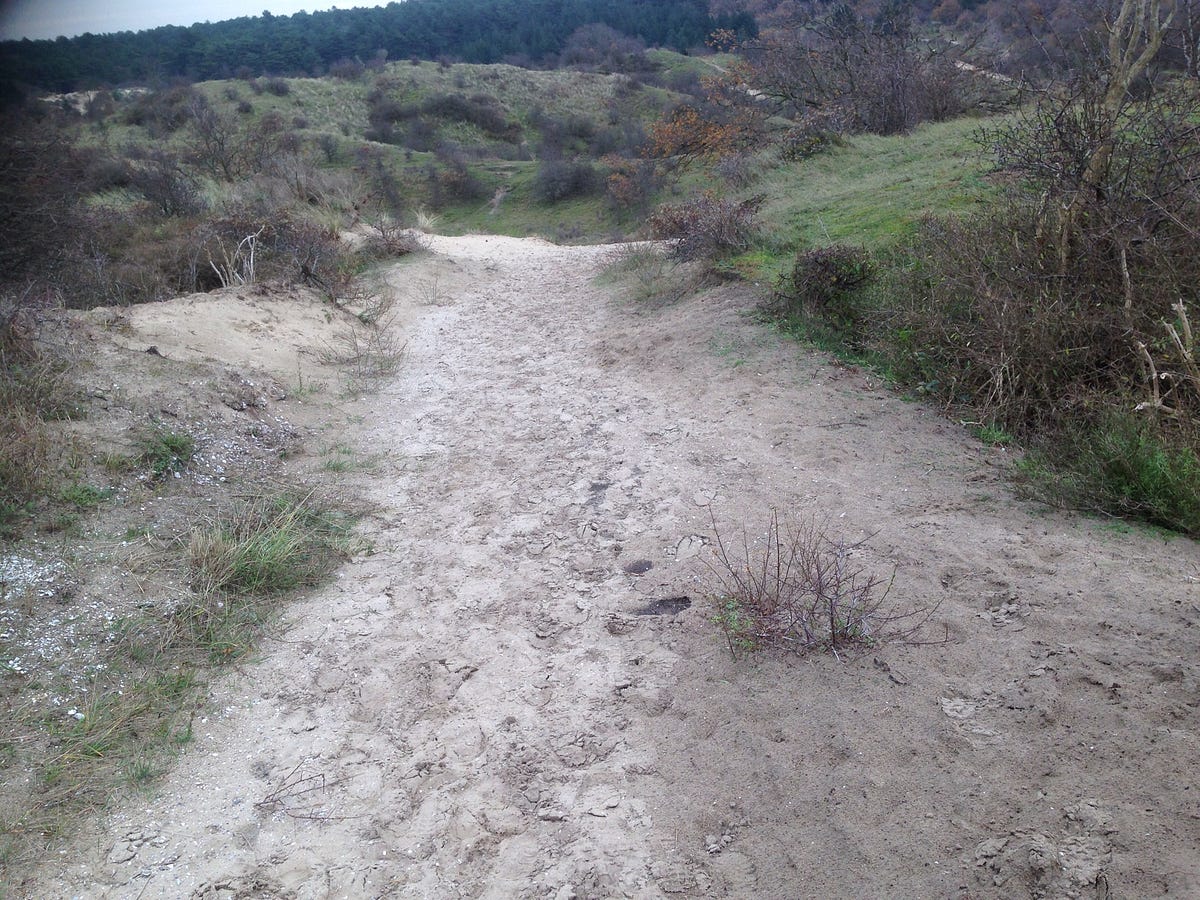 Footsteps. While walking through my favorite… | by Judy Schnitger ...