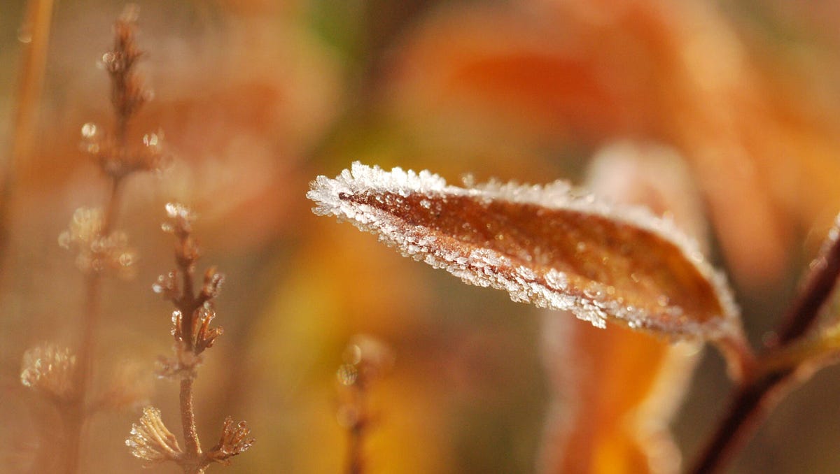 ICY DEW Soft still clouds Cling to the earth Their weight fills The low ...