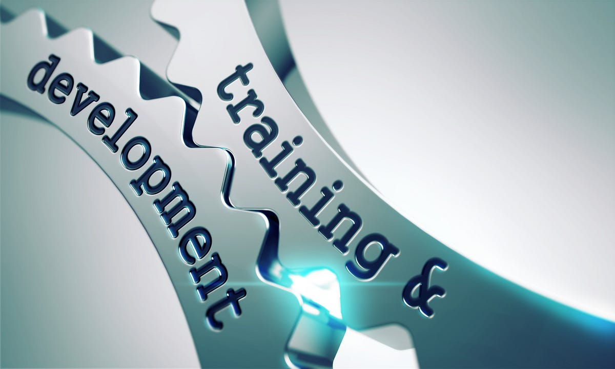 (Case II) Importance of Training and Development in a Company | by ...