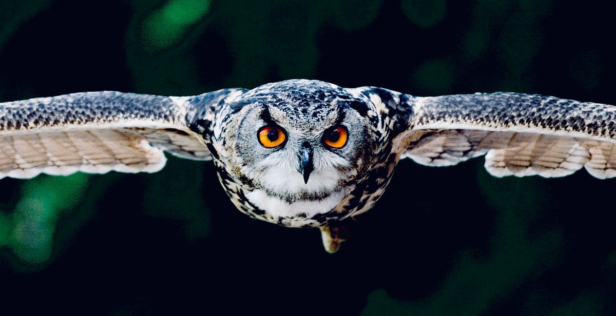 The Future Belongs to The Focused — These 7 Unconventional Tips Can ...