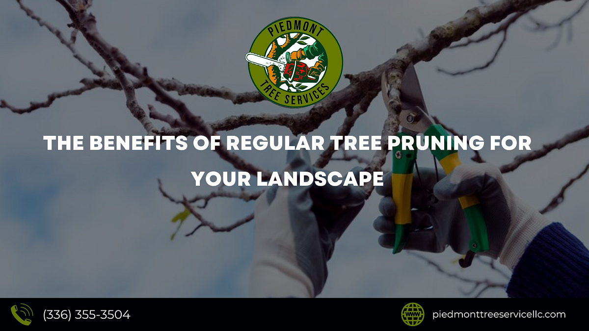 The Benefits of Regular Tree Pruning for Your Landscape | by Rankorbit ...