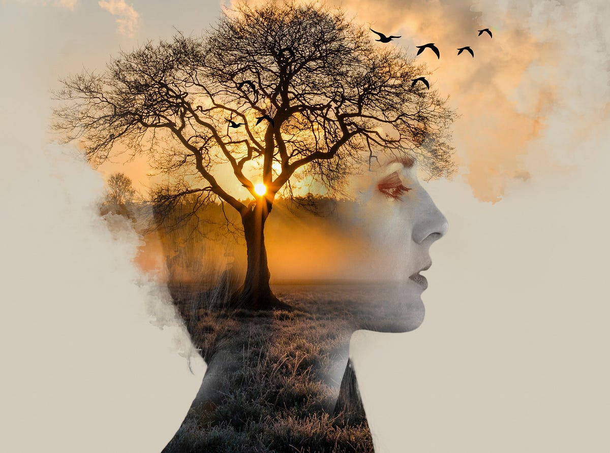 Enlightened Entrepreneurship. At some (relatively) late stage in the ...