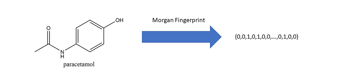A Practical Introduction to the Use of Molecular Fingerprints in Drug ...