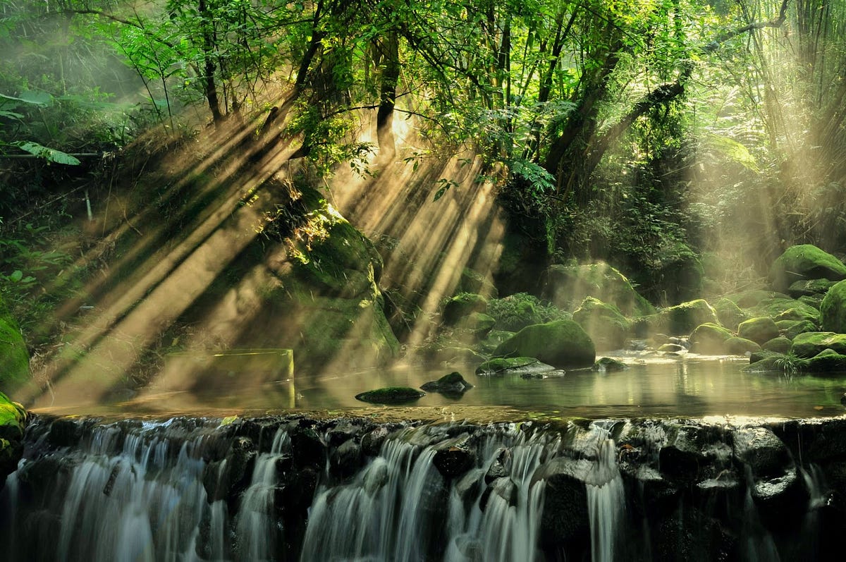 Explore the Beauty of Bandaje Falls: Karnataka’s Hidden Gem | by ...