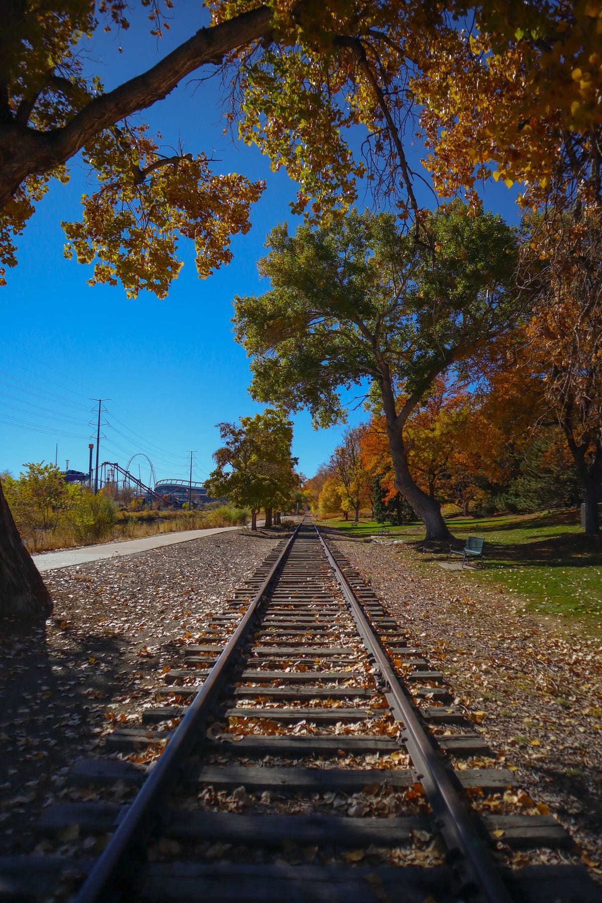 The Way I See Photography. I decided to pursue photography since… | by ...