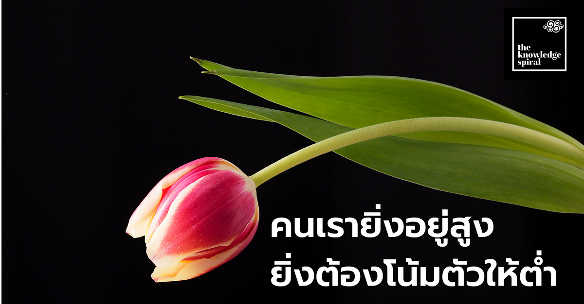 คนเรายิ่งอยู่สูงยิ่งต้องโน้มตัวให้ต่ำ | by Niran Banleurat | Knowledge Spiral | Medium