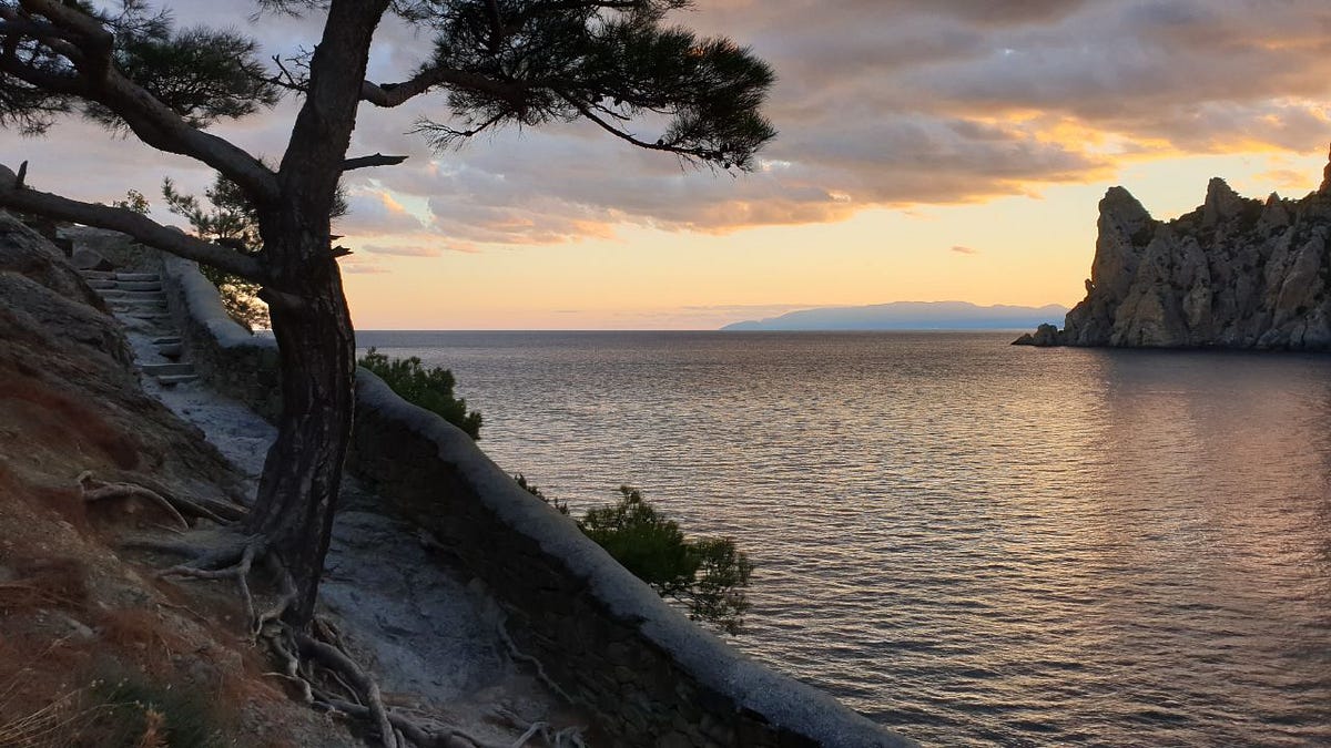 Generating Sentence Level Embedding Based On The Trends In Token Level Bert Embeddings By Yuli