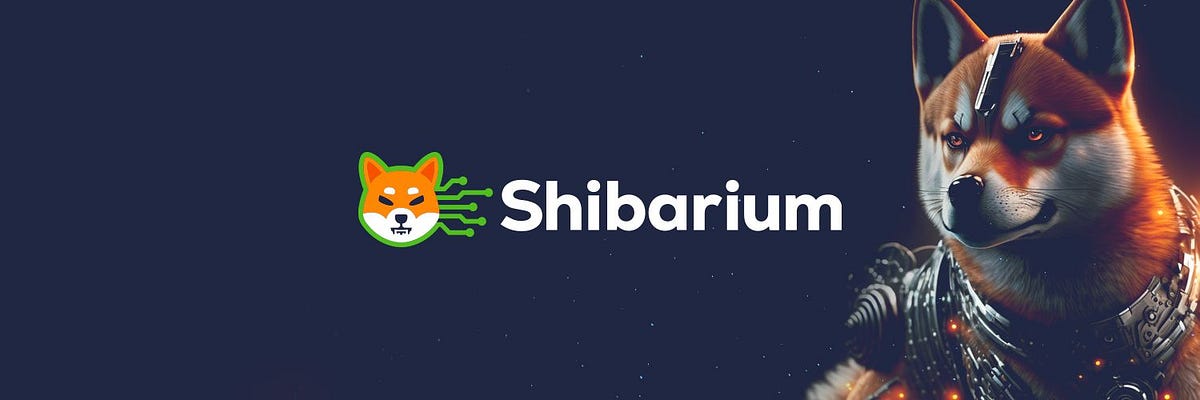 What Is Shibarium? Why Bone And Leash Are Important To The Ecosystem ...