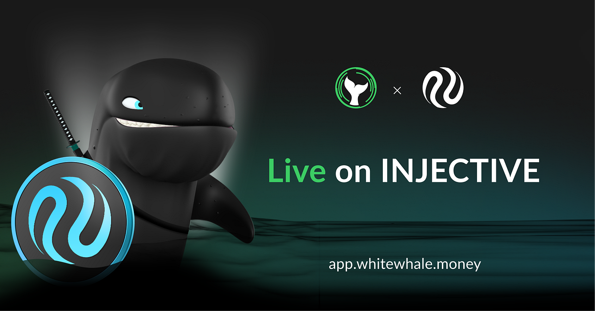 White Whale Deploys on Injective! | by bobloblaw | White Whale | Medium