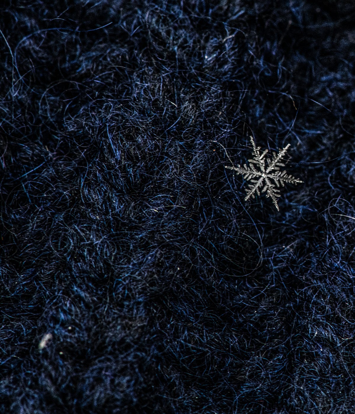 Grief. The snowflake of emotions. | by OneMoreTale | Medium