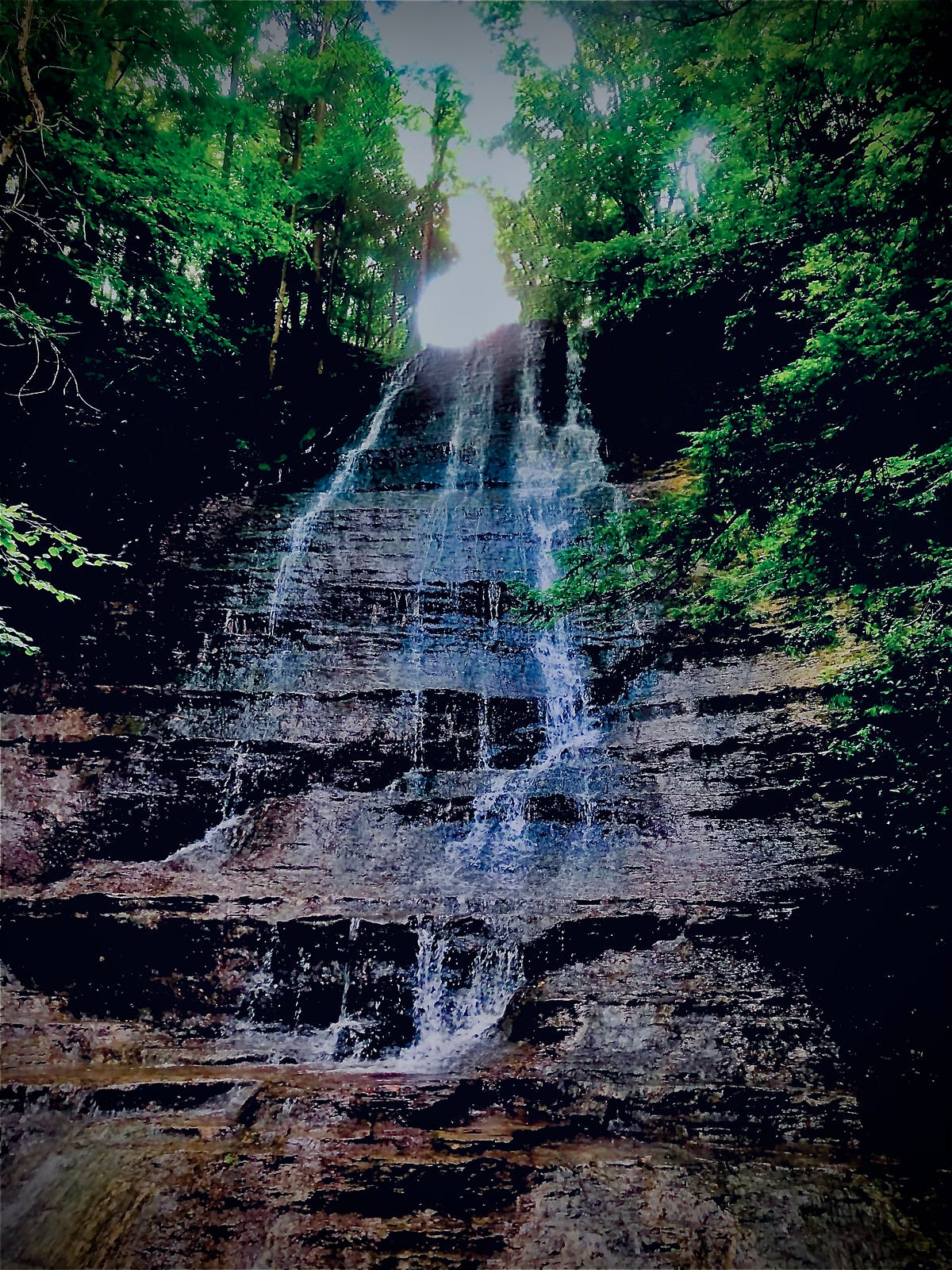 Alan and Watts: A Dialogue on Consciousness | by George Cassidy Payne | Medium