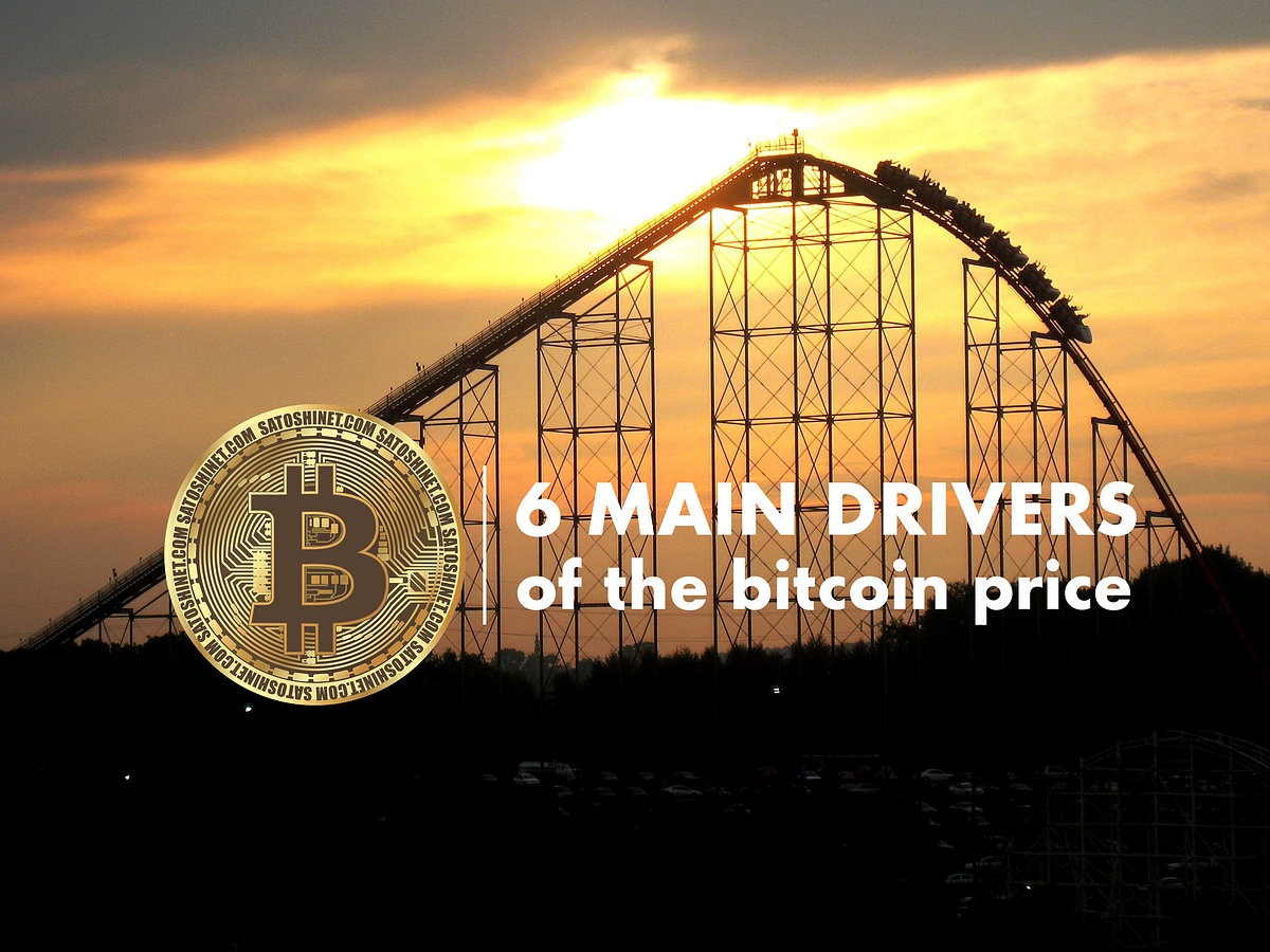 6 Main Drivers of the Bitcoin Price | by Maximilian Perkmann ...