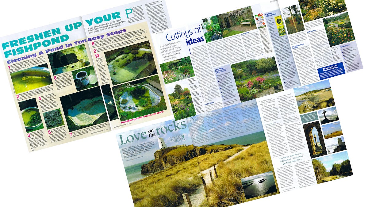 Photography for Writers - free course | Photography for Writers