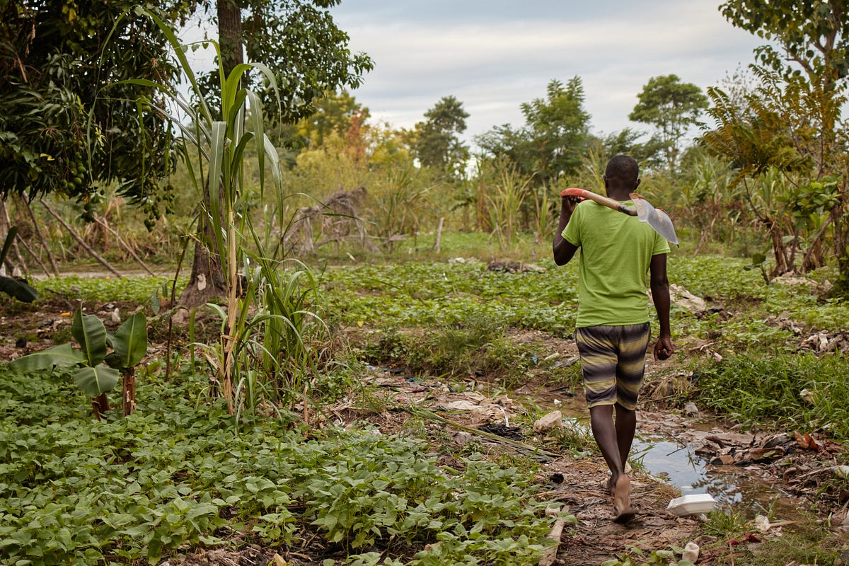 The Challenge of Human Development in Haiti | by Aaron Fernando | Ten ...