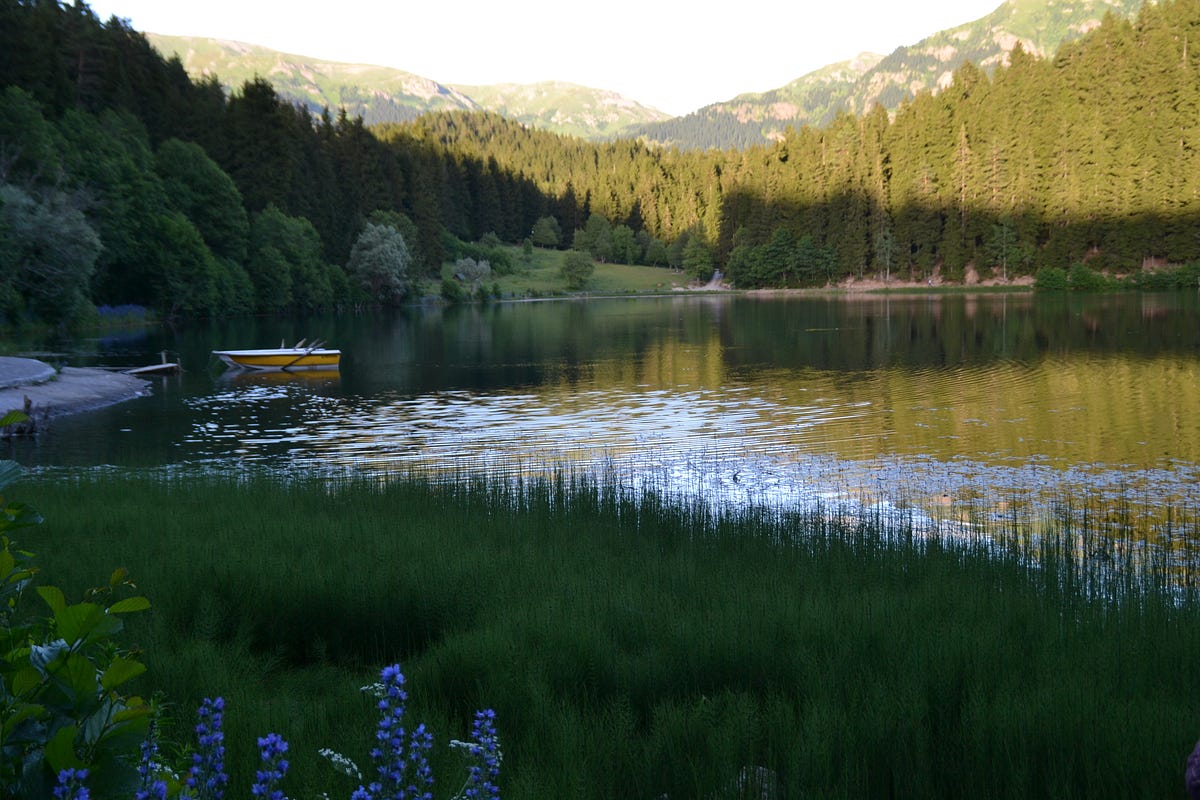 Istanbulistan: Forgive me, for I have sinned. | by Zeynep Guven | Medium