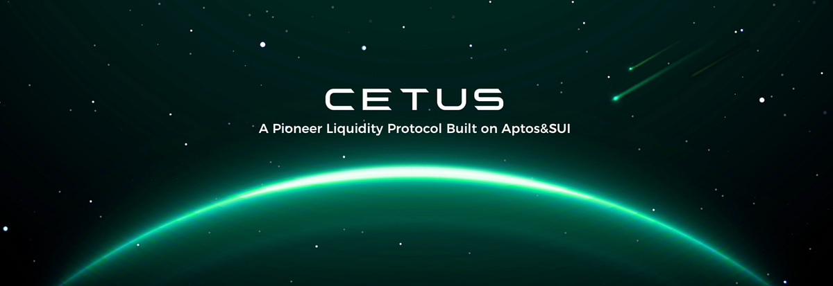Cetus Protocol — testnet krok po kroku | by Przyborleone | Medium