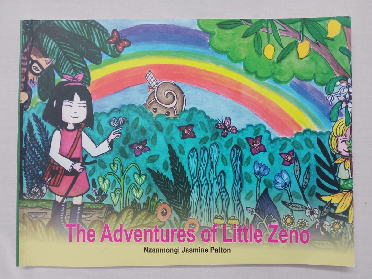“The Adventures of Little Zeno”: A Book Review | by Ningshen | Medium